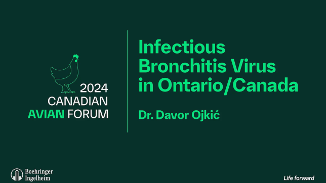 bronchitis virus 2024